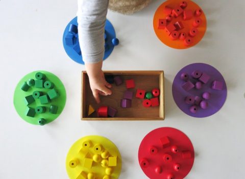 There Are Many Ways To Help Children With Classification