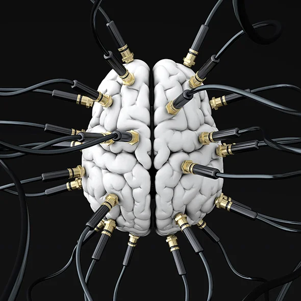 Hard Wired Behaviours