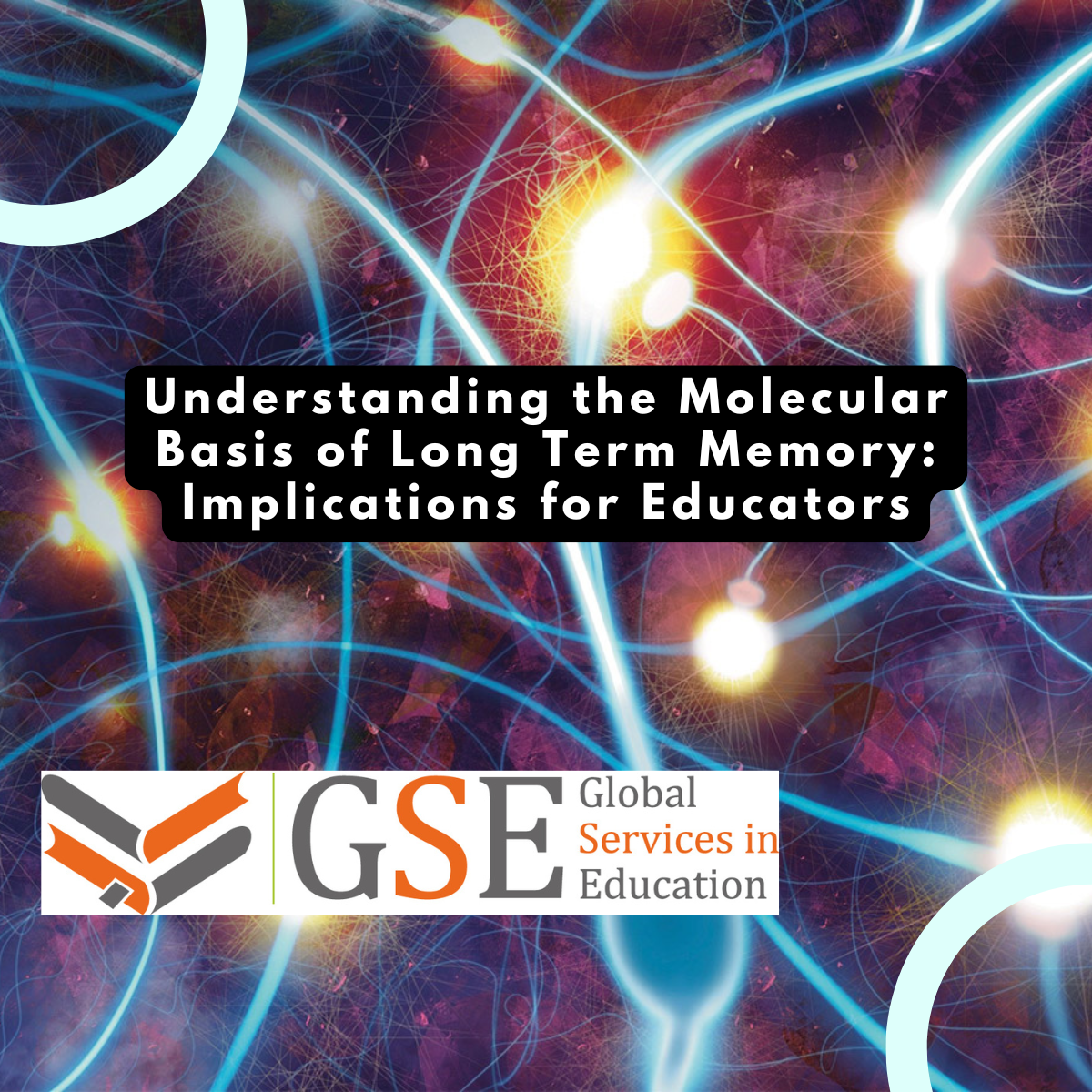 Molecular Basis of Long Term Memory: Implications for Educators