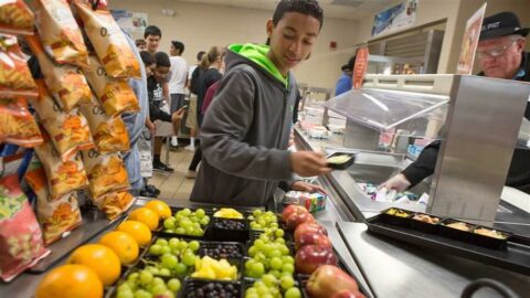 School Cafeteria Design and Best Practices - Global Services In Education
