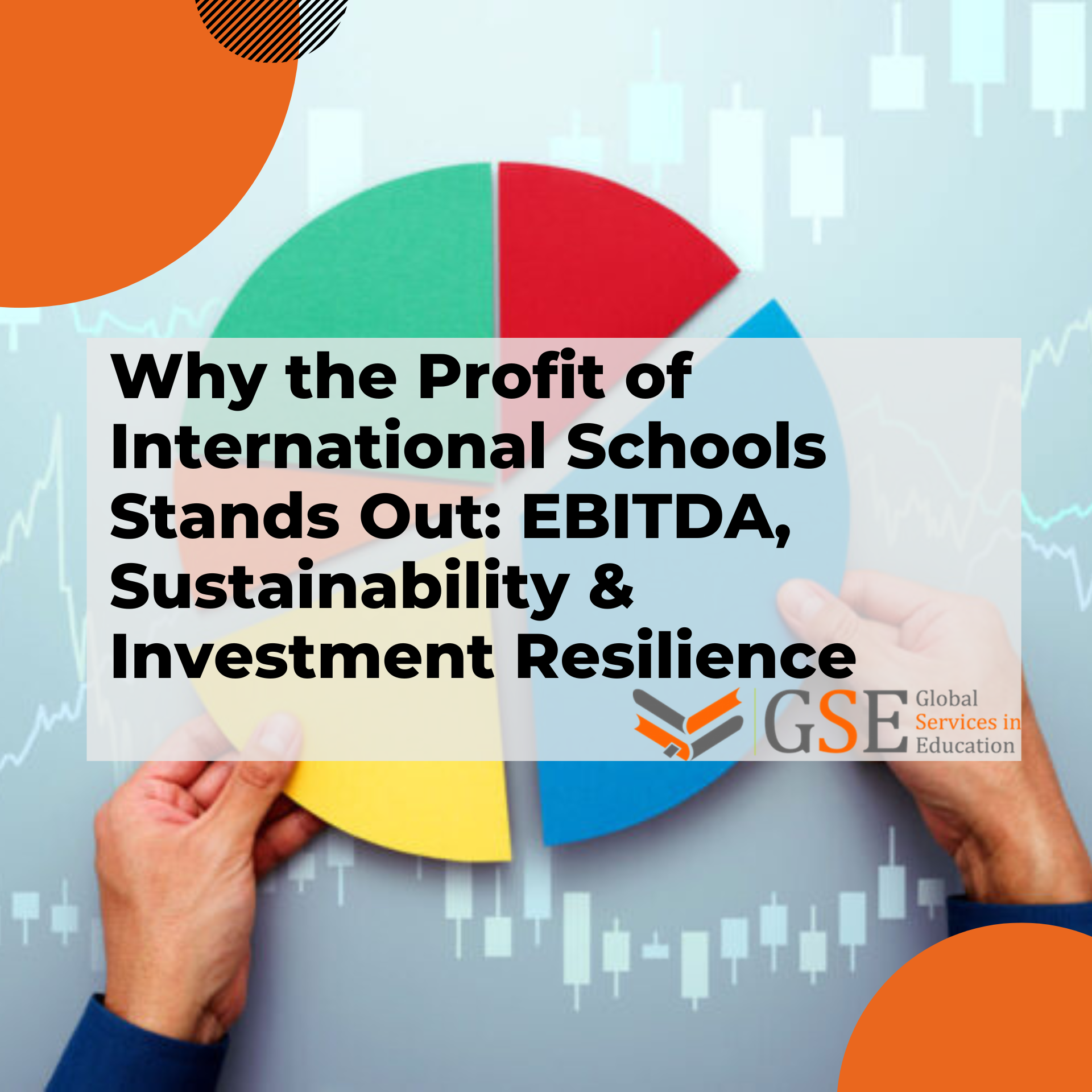 Why the Profit of International Schools Stands Out